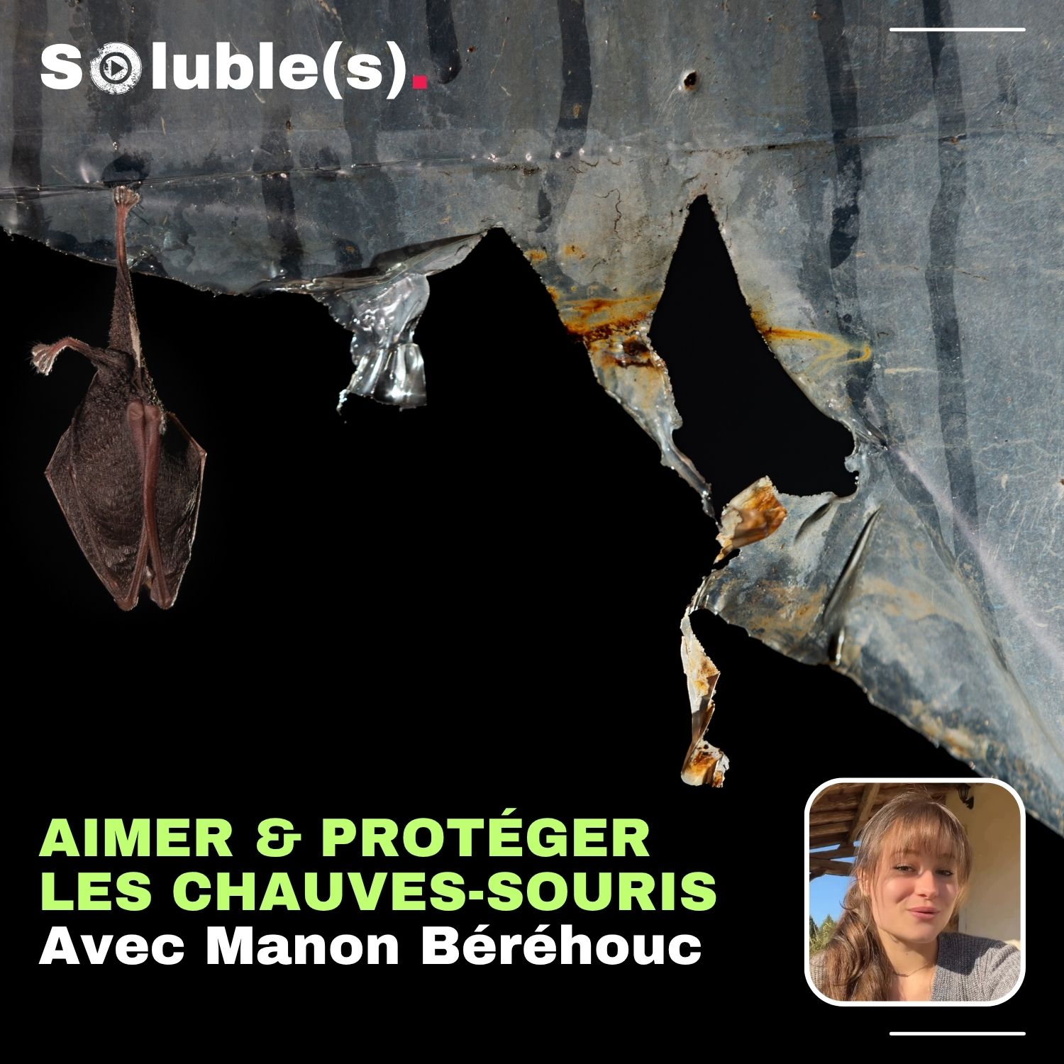 Aimer et protéger les chauves-souris - Avec Manon Béréhouc - Soluble(s)